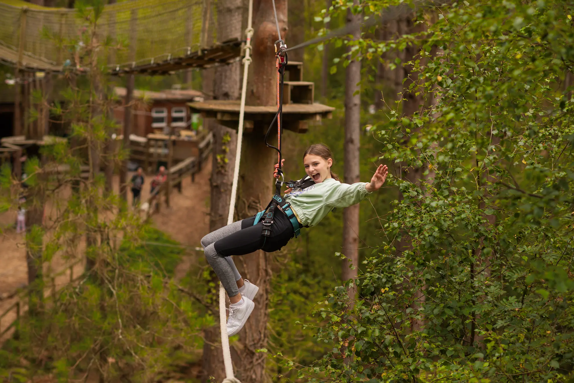 Home - Moors Valley Country Park & Forest
